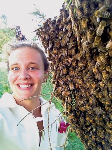 ‘Crazy bee lady’ gets a buzz from educating public | News, Sports, Jobs ...